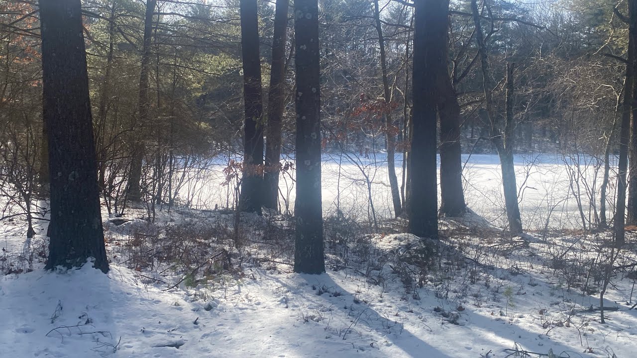 S2 E2 - Bird Street Connor's Pond - YouTube