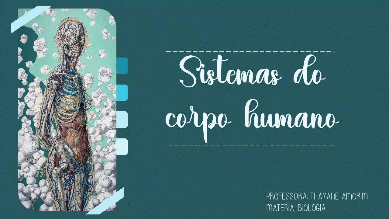 Sistemas do corpo humano - YouTube