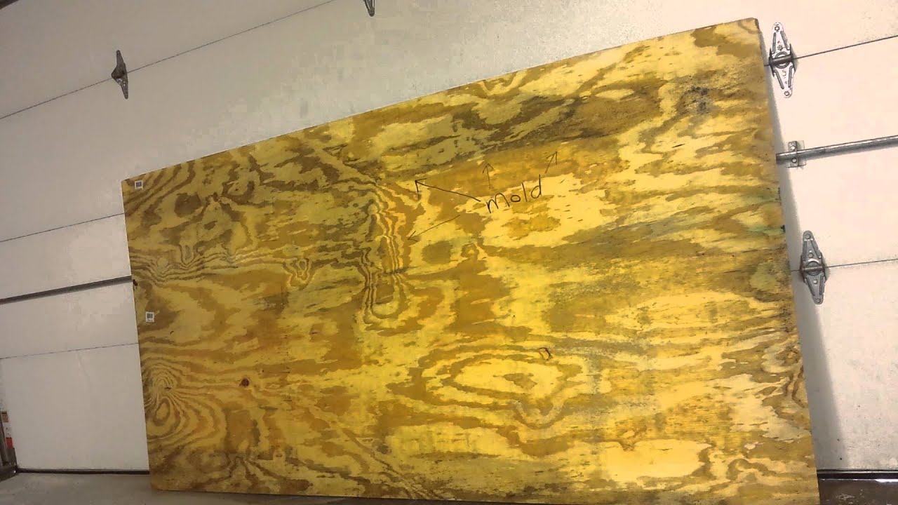 Mold Removal Tampa: MMR Cleaner In Action- TampaBayMold.net - YouTube
