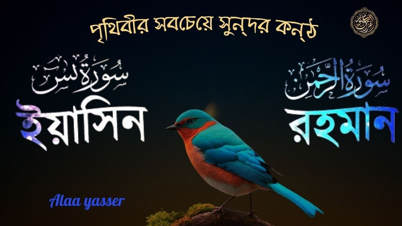 কুরআন সুন্দর তেলাওয়াত -সূরা ইয়াসিন এবং সূরা রহমান । SURAH YASIN AND ...
