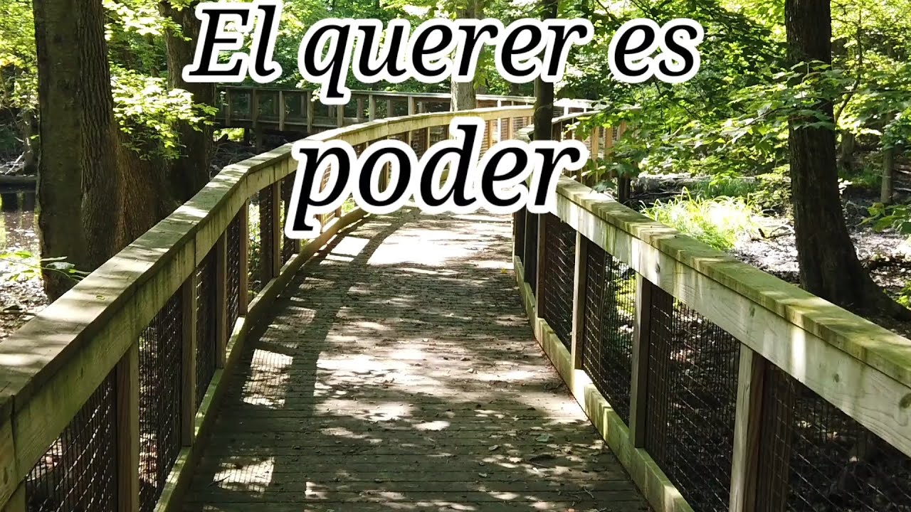El querer es poder y el que persevera alcanza. Lucha por tu sueños # ...