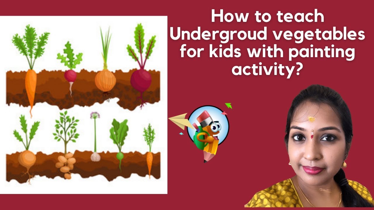Learning Underground Vegetables for Kids | With Painting Activity - YouTube
