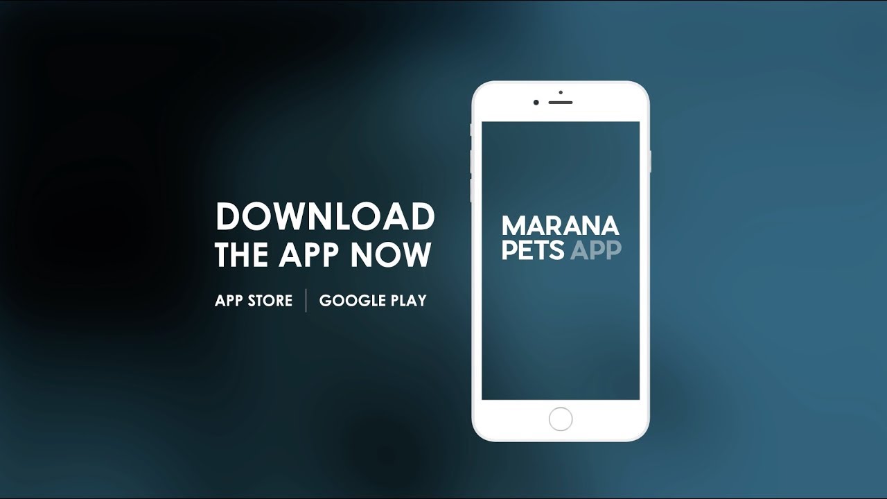 Marana Animal Services Marana Pets app - YouTube