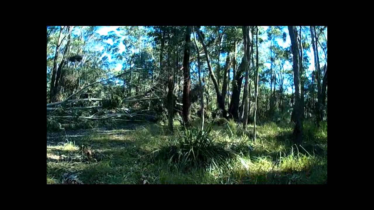 Brunkerville Trail Awaba State Forest UCC4x4 09/05/2015 - YouTube
