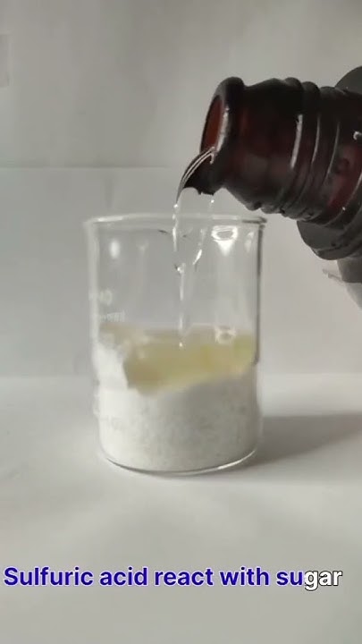 Sulfuric acid reacts with sugar #h2so4 #experiment #chemical #reaction #goviral #laboratory #fyp ...