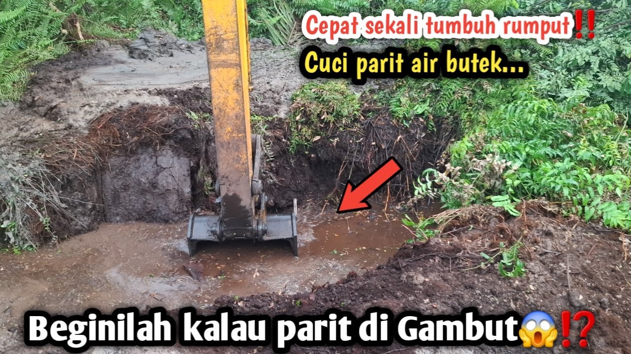 Beginilah kalau parit di Gambut😱⁉️Cepat sekali tumbuh rumput||Cuci ...