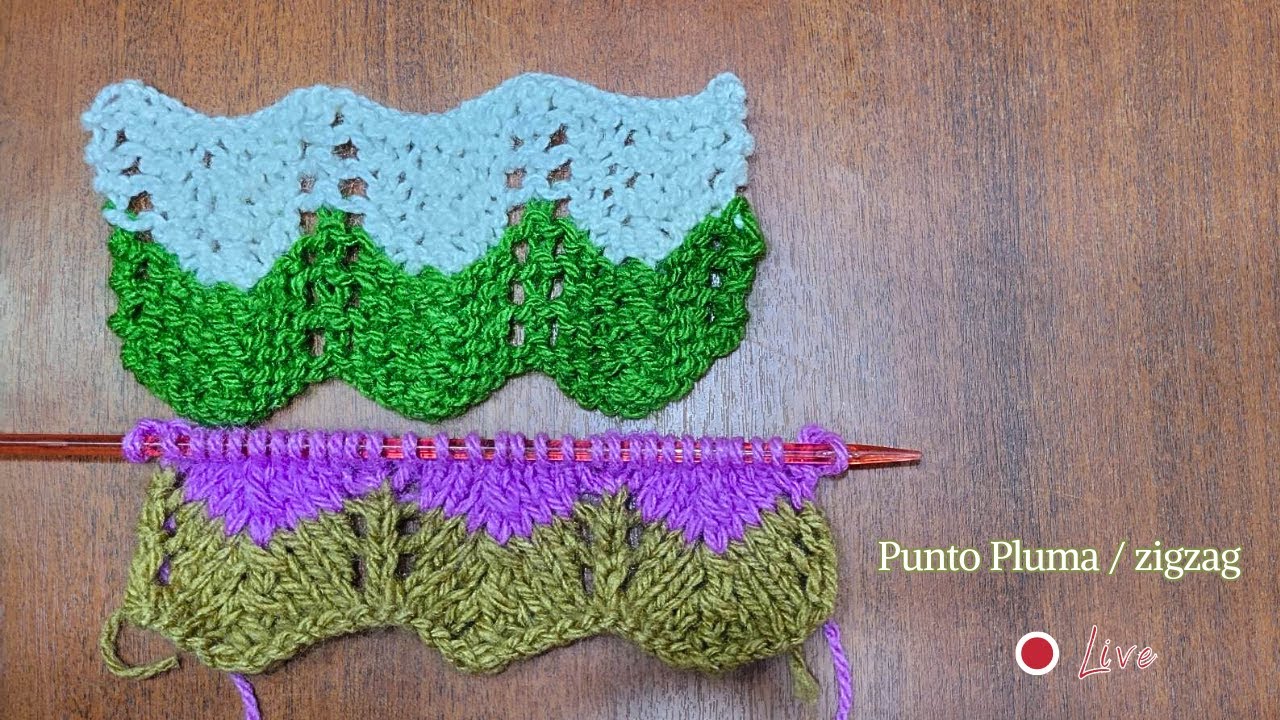 🔴 Punto ZigZag o Pluma a dos agujas - Curso en vivo para aprender a ...