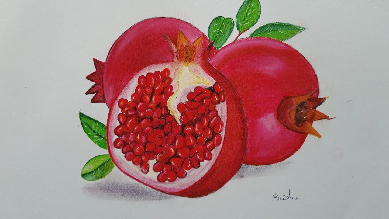 pomegranate drawing easy/how to draw pomegranate step bystep easy ...