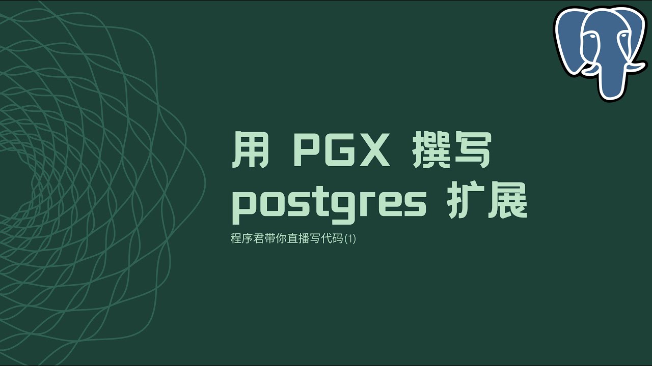 程序君的直播课:用 Pgx 构建 Postgres 扩展 Youtube 3668