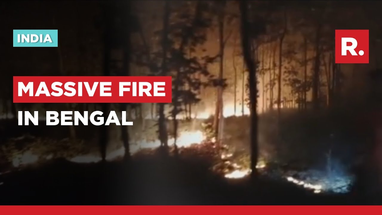 Bengal: Massive Fire In Sijua Forest; Efforts To Douse Fire Underway ...