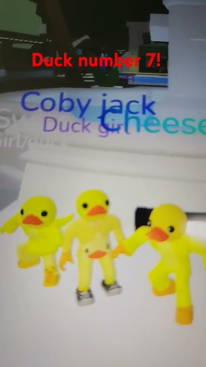 duck number 7 - YouTube