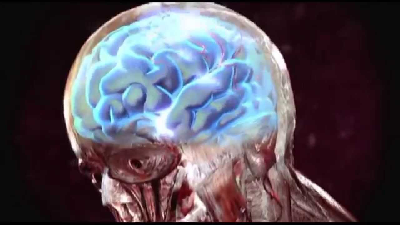 Happy Tree Friends - Hyper-Realistic Version (Vol. 1) - YouTube