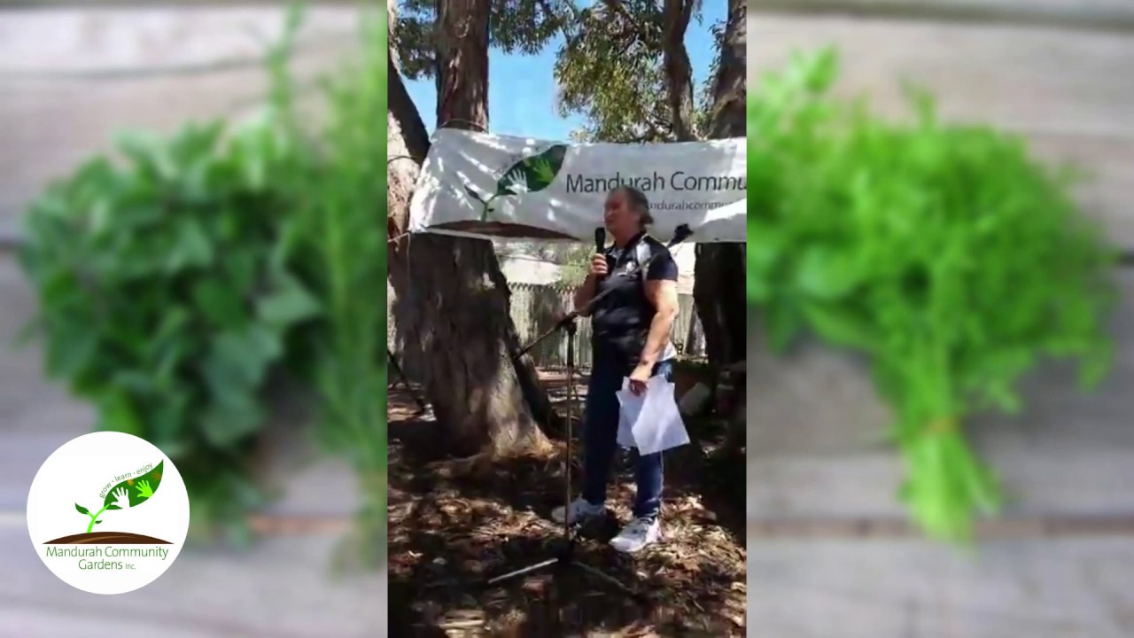 Live! at the MCG Garden Festival - Ellen Walker from Earthwhile ...