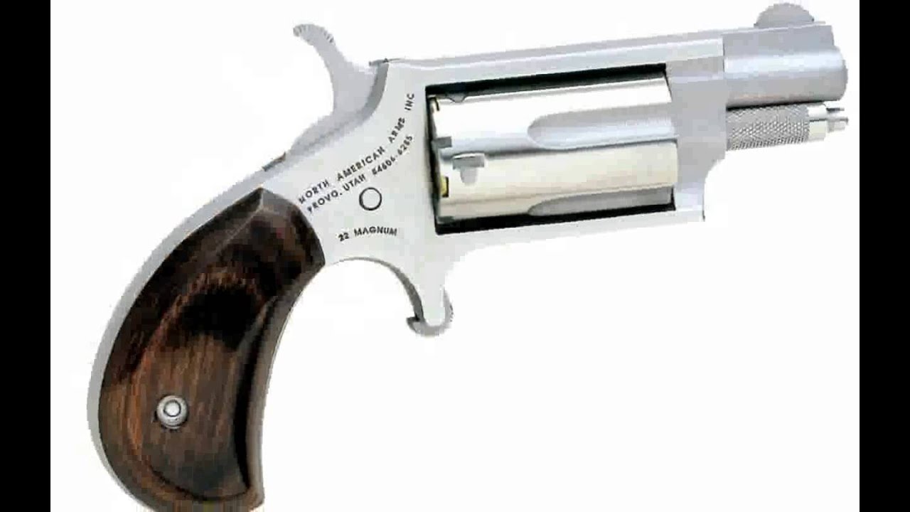 NAA 1860 Earl .22 Win Mag Revolver Best Guns - YouTube