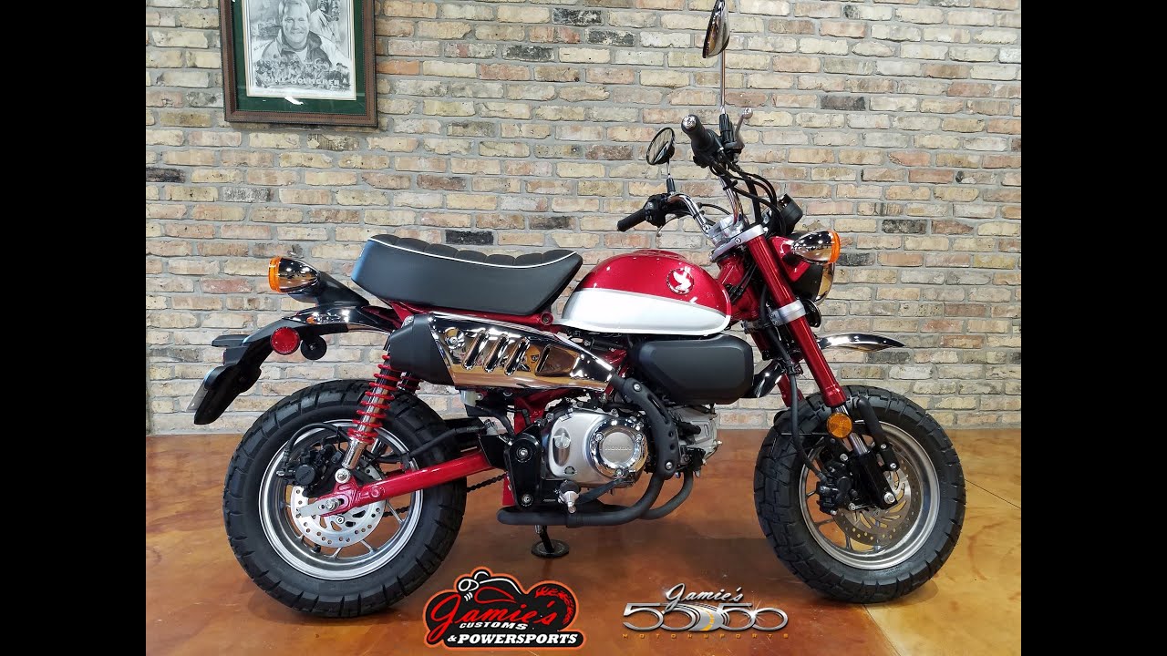 2019 Honda Z125 Monkey - Stock #4194 - jamiescustoms.com - YouTube