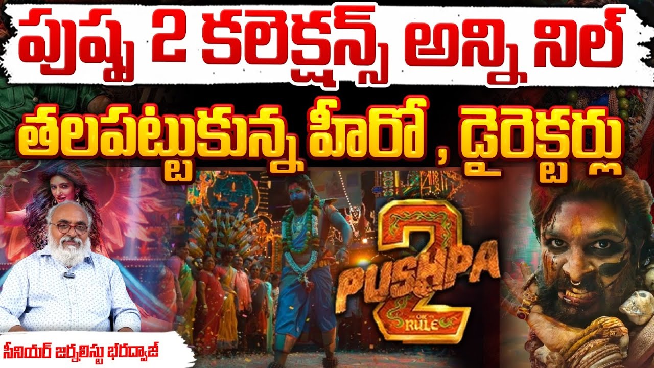 Pushpa 2 Collection Update | Allu Arjun | Red Tv Focus - YouTube