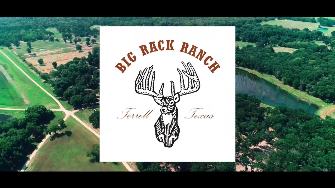 BIG RACK RANCH - OFF LIMIT - BIG TYPICAL BUCK - YouTube