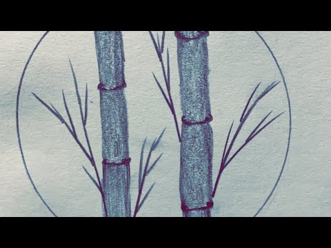 How to Draw Bamboo🎋🎋tree with pencil | Easy Bamboo Tree Drawing - YouTube