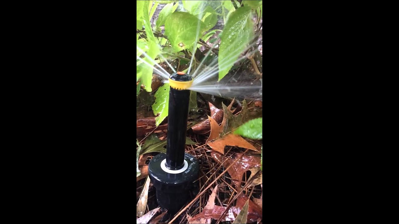 Eddy Barrett irrigation rain bird mp rotor nozzle good sprinklers - YouTube