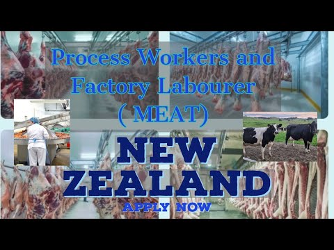 #Process Worker & Factory Labourers (Meat) NEW ZEALAND - YouTube