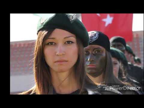 PöH Asena Şarkısı