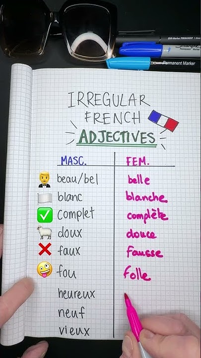 Irregular French Adjectives You Should Know - YouTube