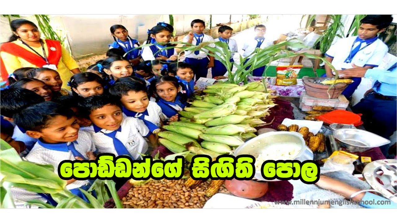 Singithi Pola - YouTube