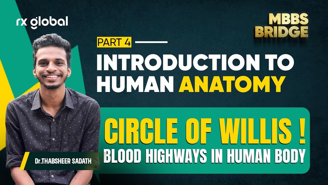 MBBS BRIDGE Episode 7:"Blood highways in human body " Human anatomy ...