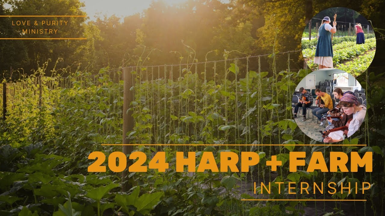 2024 Harp + Farm Internship Promo - YouTube