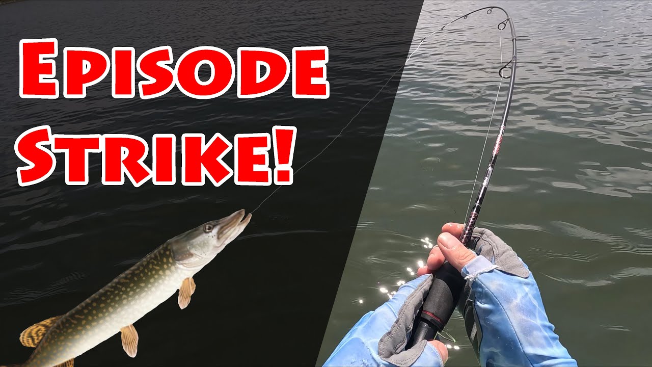Fish strikes and some new giveaway gear! - YouTube
