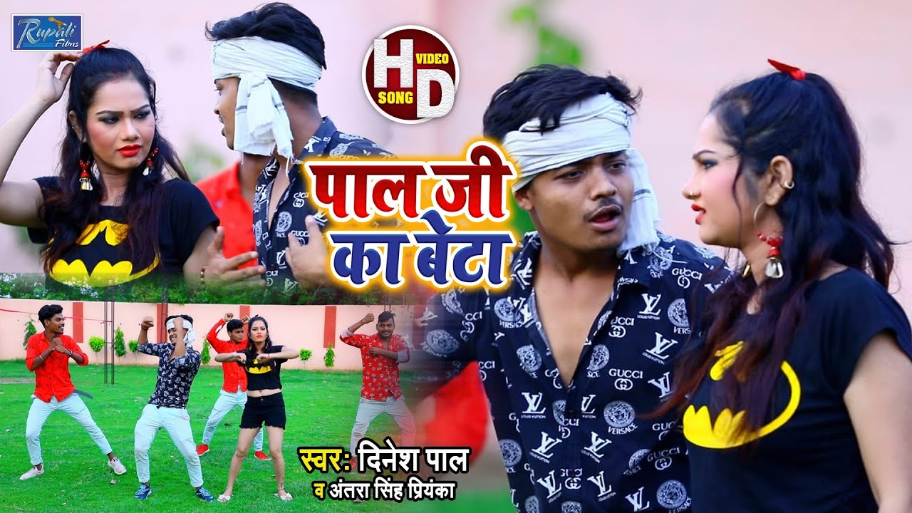 VIDEO # Dinesh pal !! पाल जी का बेटा !! गडरिया के सान भेड़ बकरी !! Pal ...