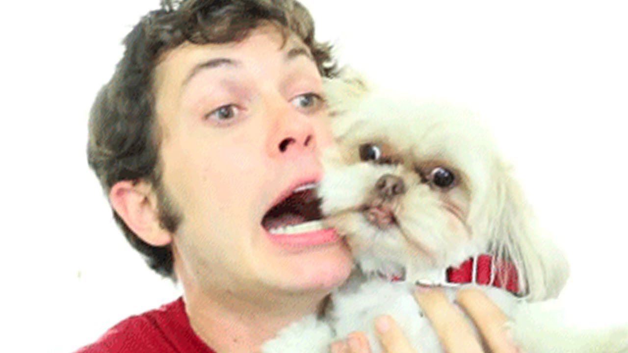 HE BIT ME!!! - YouTube