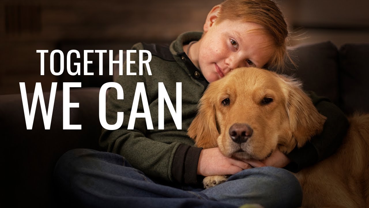 Paws With A Cause | Cal & ARTY - YouTube