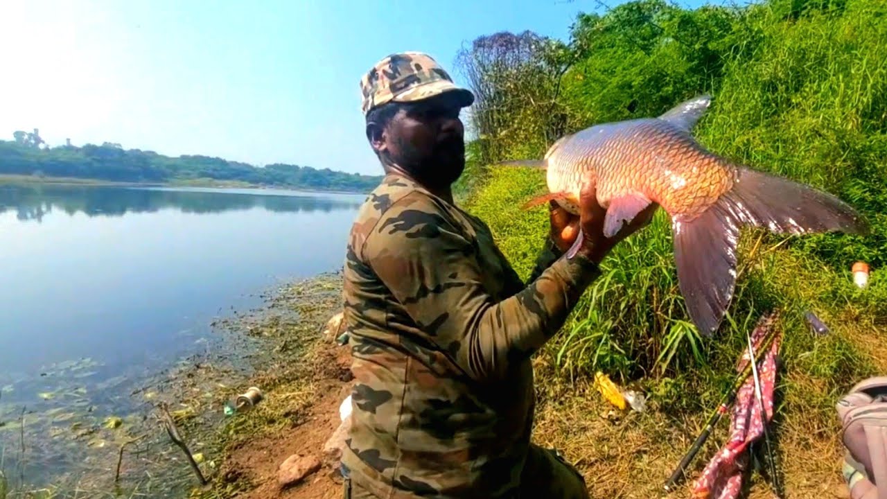 Manjeera River Fishing | King Size Rohu Fish Catching | Hyderabad ...