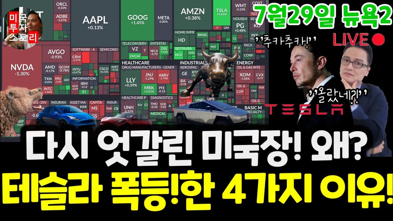 미국주식시황오늘 왜 희비 엇갈렸나 테슬라 폭등한 이유 엔비디아는 구글 애플 아마존 메타 마이크로소프트 팔란티어 디즈니