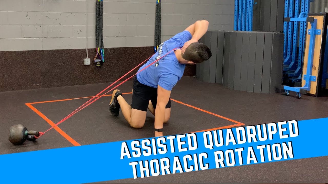 Assisted Quadruped Thoracic Rotations - YouTube