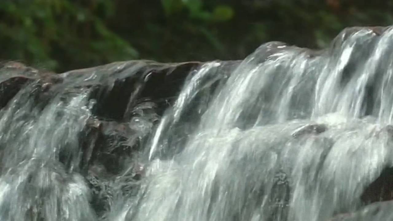 Puhas vesi. Film 3. KUIDAS PUHASTAME VETT - YouTube