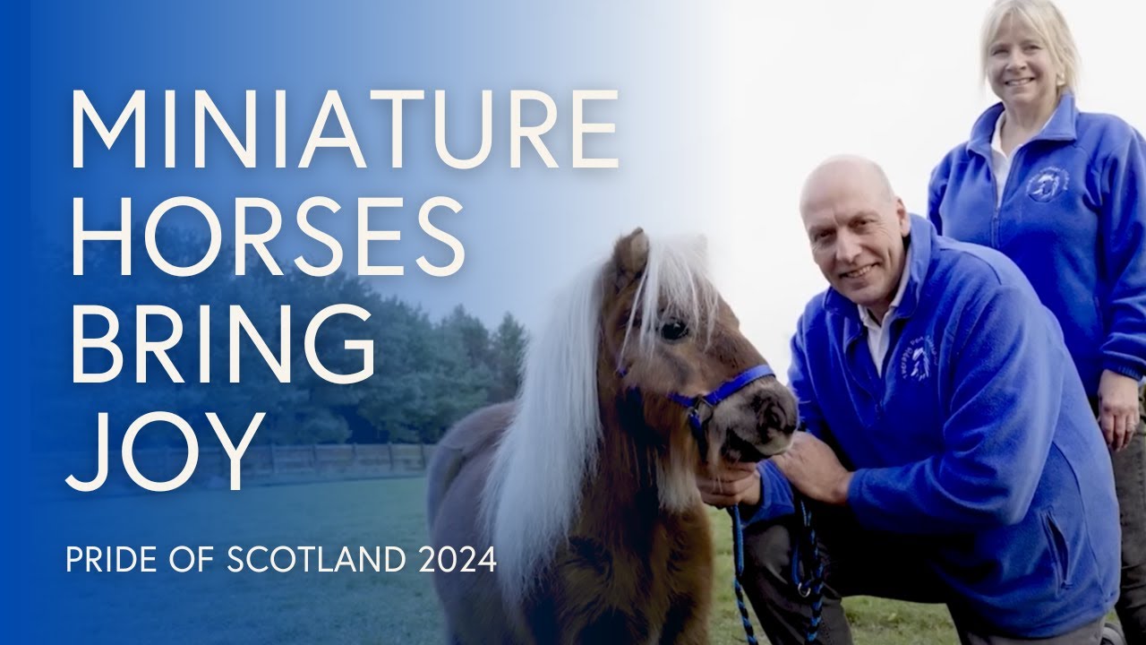 Elaine & John Sangster: The Tiny Horses Spreading Joy to Those in Need ...