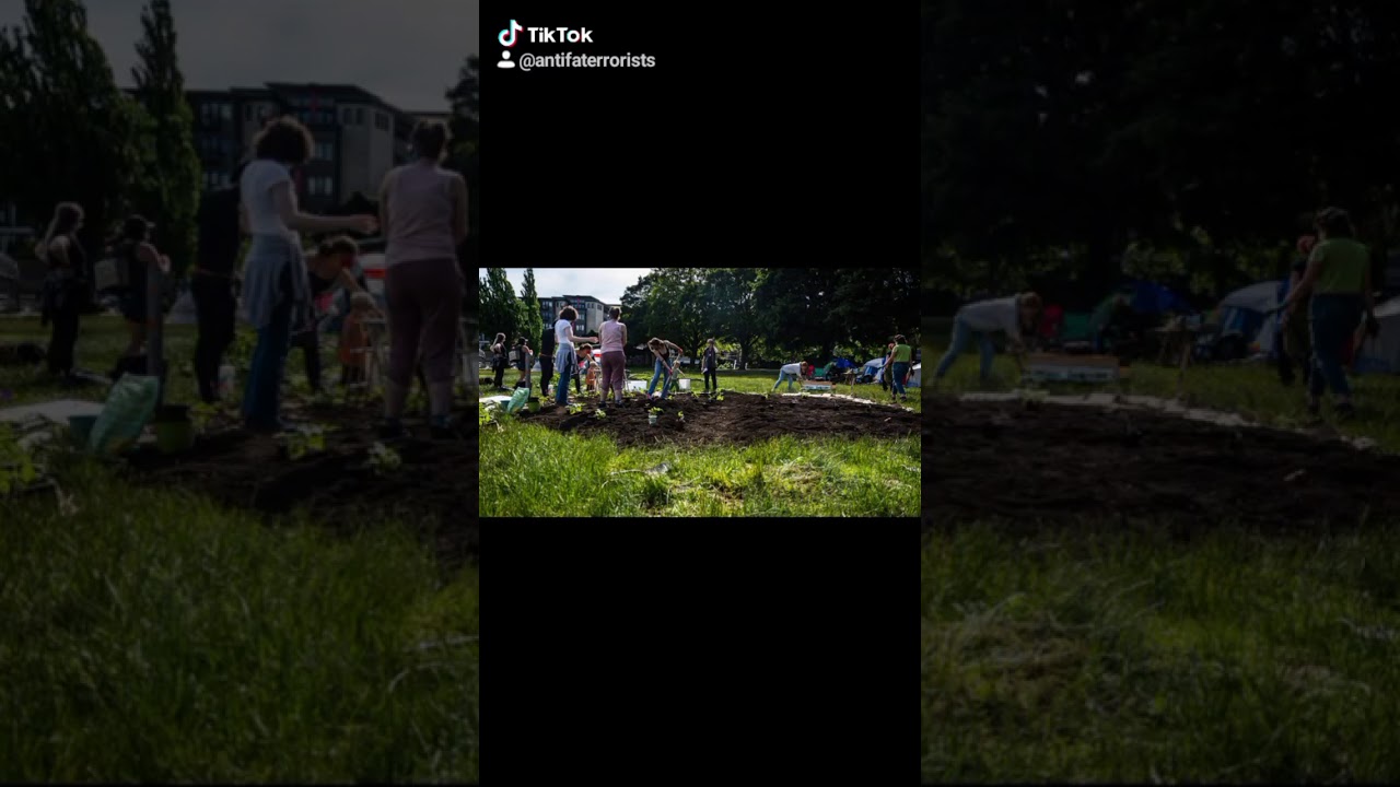 Chaz community garden - YouTube