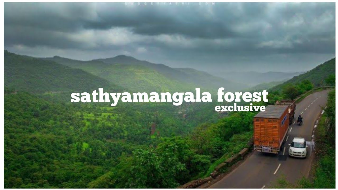 Drone view of Sathyamangalam forest area - YouTube