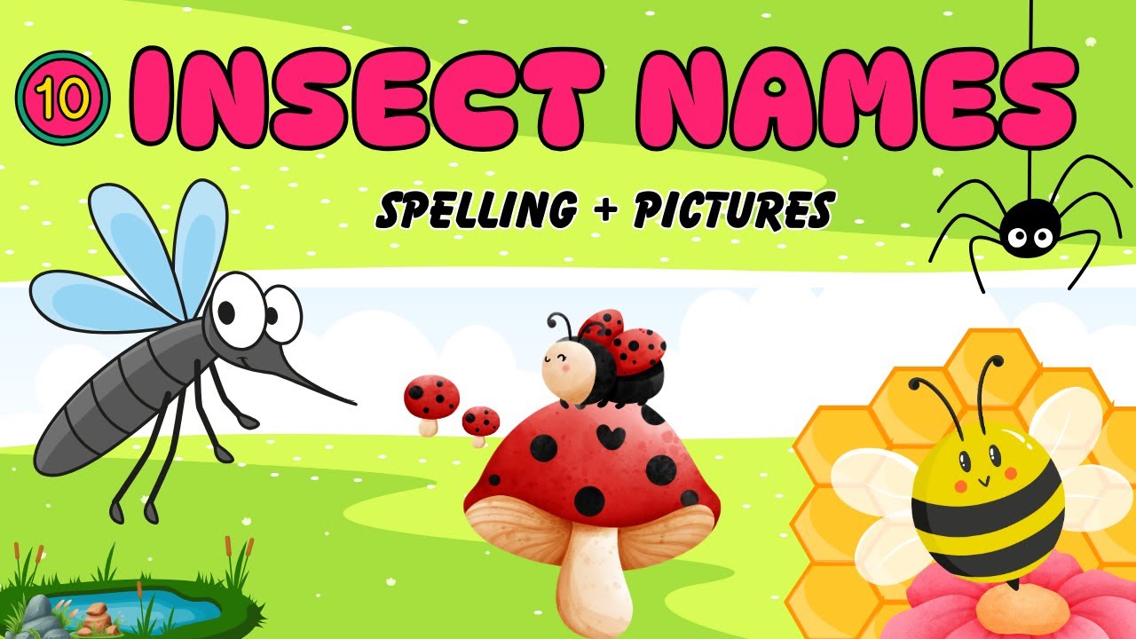 10 Insects Name for Kids 🐞🦋 | Fun & Easy Learning with Spelling ...