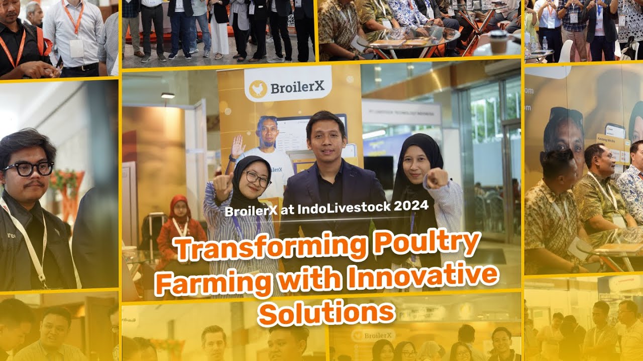 BroilerX at IndoLivestock 2024: Transforming Poultry Farming with ...