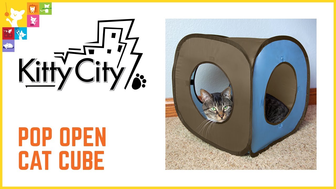 Kitty City Pop Open Cat Cube - YouTube