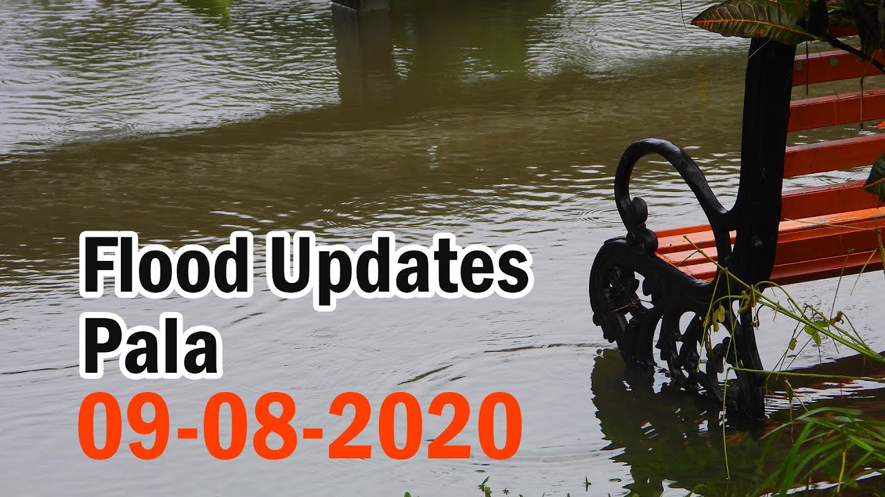 Flood update Pala Kerala | 09-08-2020 - YouTube