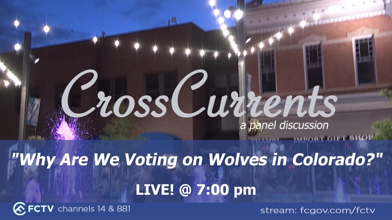 CrossCurrents - "Why Are We Voting on Wolves in Colorado?" - YouTube