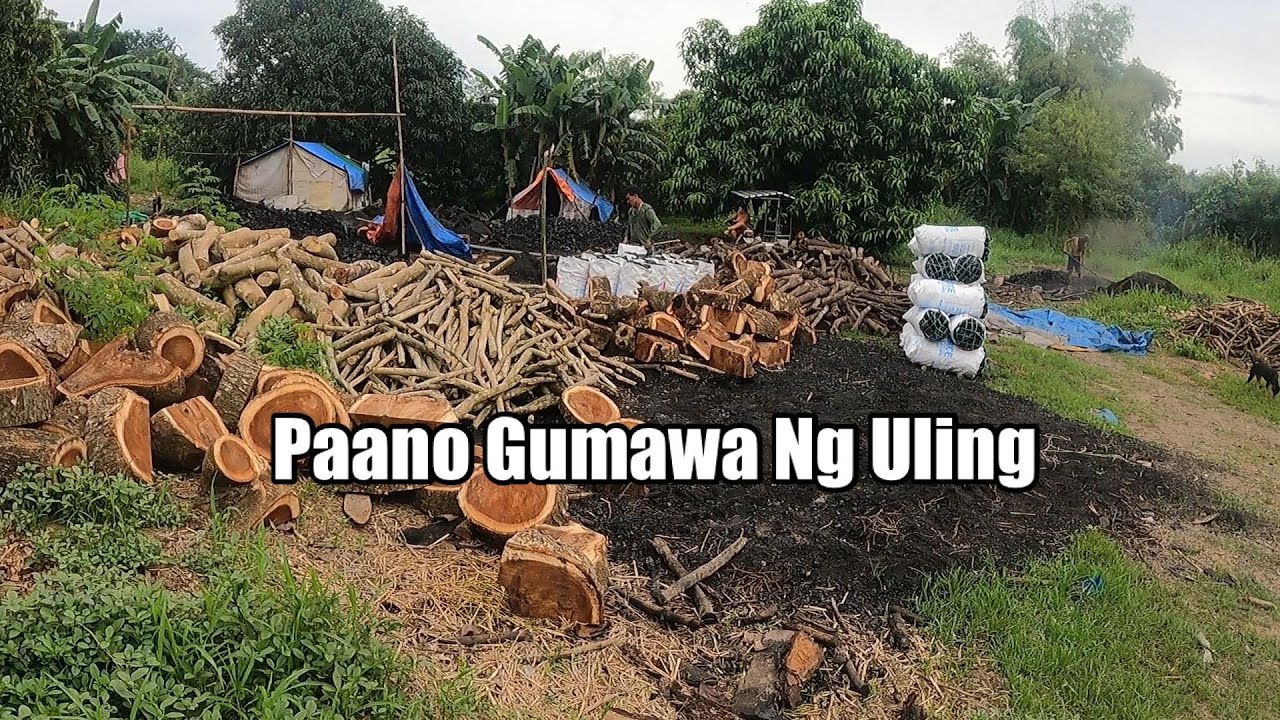 Paano Gumawa ng Uling at Magkano Ang Presyo Per Sako / How to make ...