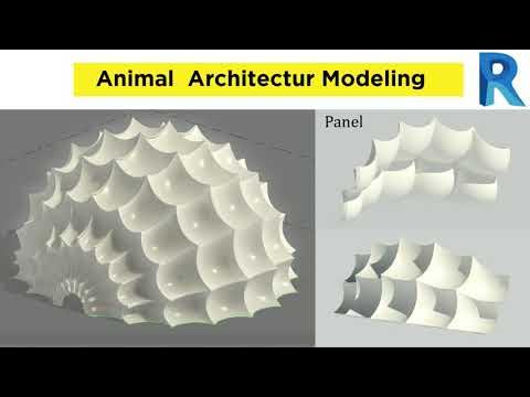 Revit tutorial (Day 7 ) Animal architecture modeling in revit - YouTube