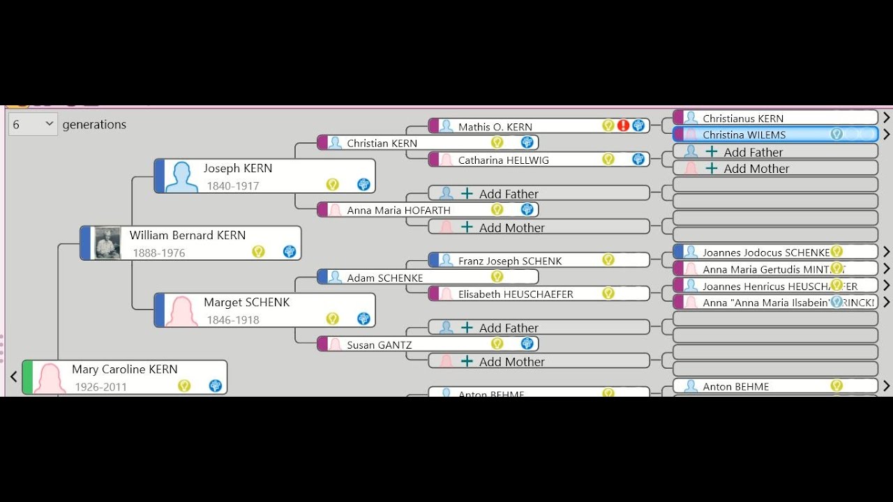 Color coding RootsMagic 9 for Source strength of connections between ...