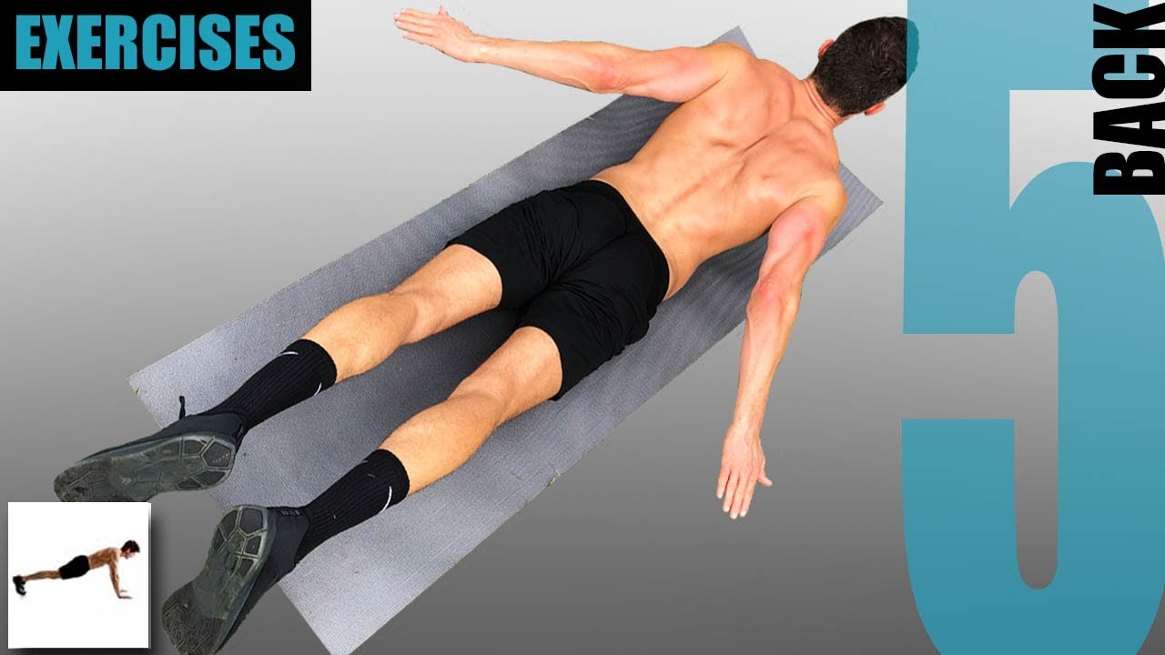 5 BODY WEIGHT BACK EXERCISES AND THE MUSCLES THEY TARGET - NO EQUIPMENT ...