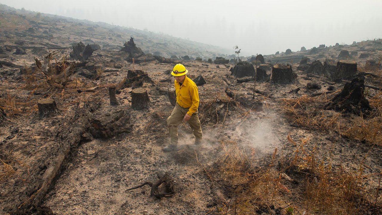 On the fire line of the Holiday Farm Fire - YouTube